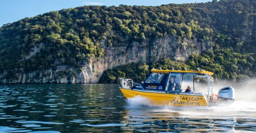 Taupo: Lake Taupo Western Bays Catamaran Tour with Bush Walk - Key Points