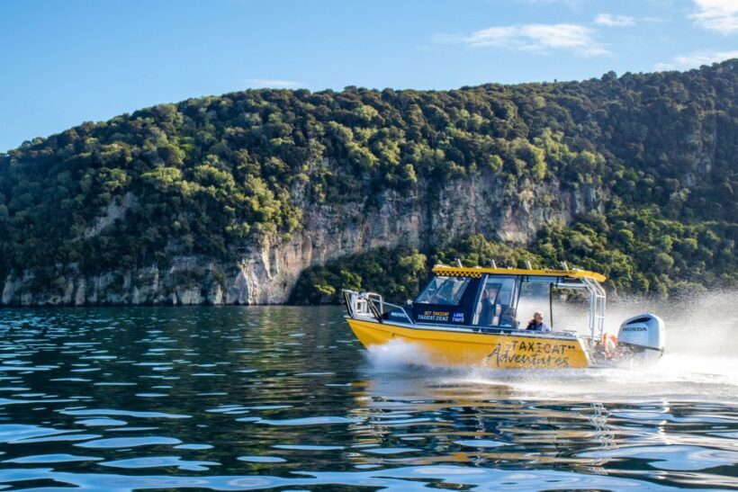 Taupo: Lake Taupo Western Bays Catamaran Tour with Bush Walk - Authentic Experiences and Authentic Travelers’ Feedback
