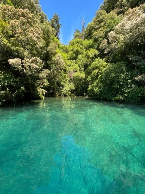Taupo: Lake Taupo Western Bays Catamaran Tour with Bush Walk - Who Should Consider This Tour?
