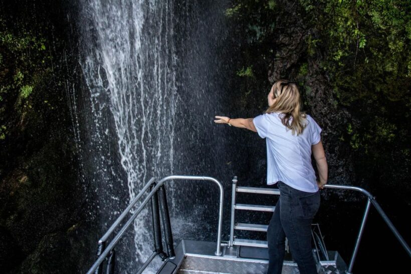 Taupo: Lake Taupo Western Bays Catamaran Tour with Bush Walk - The Sum Up