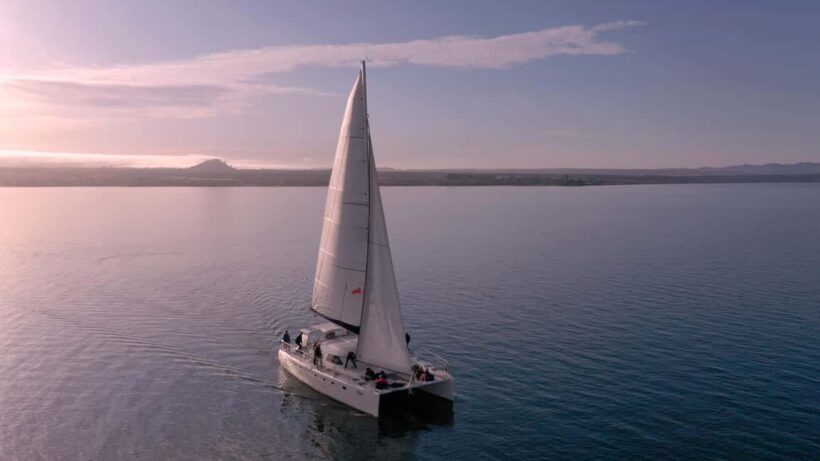 Taupo: Mori Rock Carvings Lake Taupo Catamaran Tour - The Quality of Guides and Service