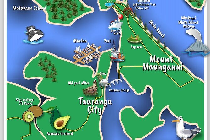 TAURANGA City & Scenic Sightseeing 2-hour Local Bus Tour - Key Points
