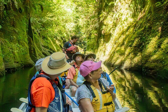 Tauranga Daytime Scenic Lake McLaren Tour - An In-Depth Look at the Tour Experience