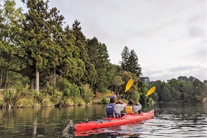 Tauranga Daytime Scenic Lake McLaren Tour - Final Thoughts