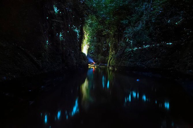 Tauranga: Evening Glowworm Kayak Tour - The Sum Up: Who Will Love This Tour?