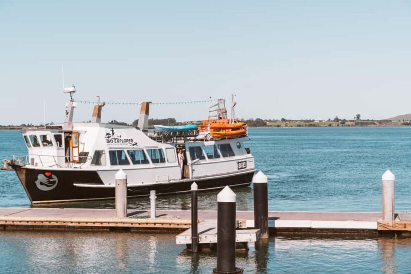 Tauranga Harbour Cruise - Key Points