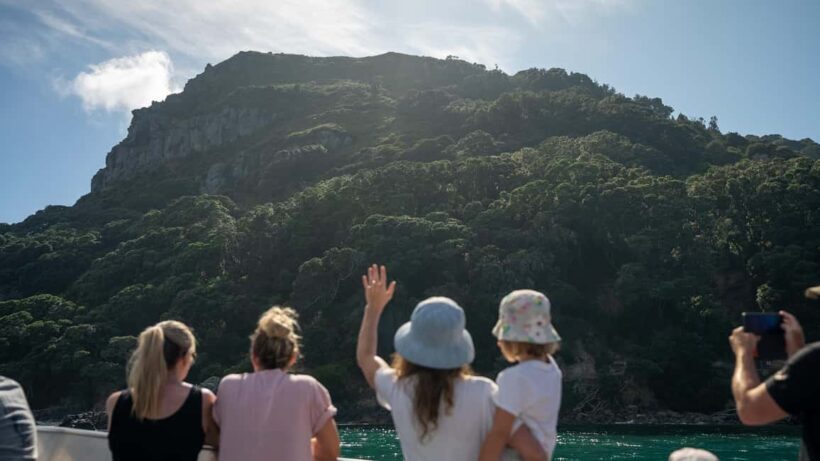 Tauranga Harbour Cruise - An In-Depth Look at the Tauranga Harbour Cruise