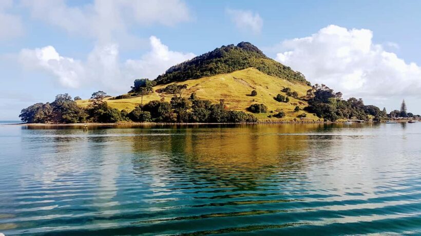Tauranga Harbour Cruise - Who Will Love This Tour?