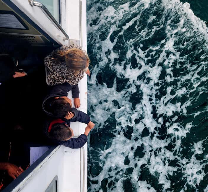 Tauranga Harbour Cruise - The Sum Up