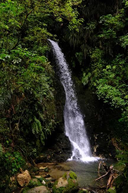 Tauranga: Kiwifruit Destination and Sights Shore Excursion - What Travelers Say