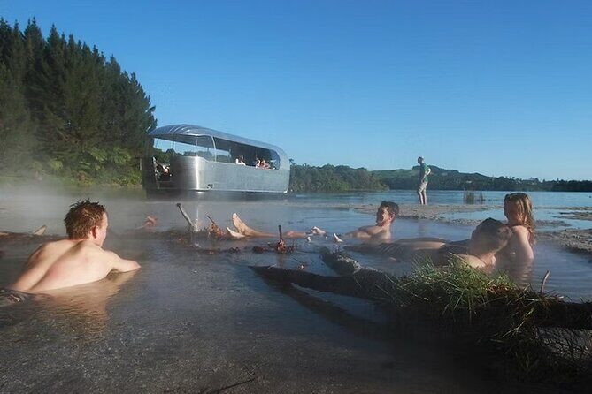 Tauranga Port - Pure Cruise Rotoiti Lake, Glowworms & Hells Gate - Key Points