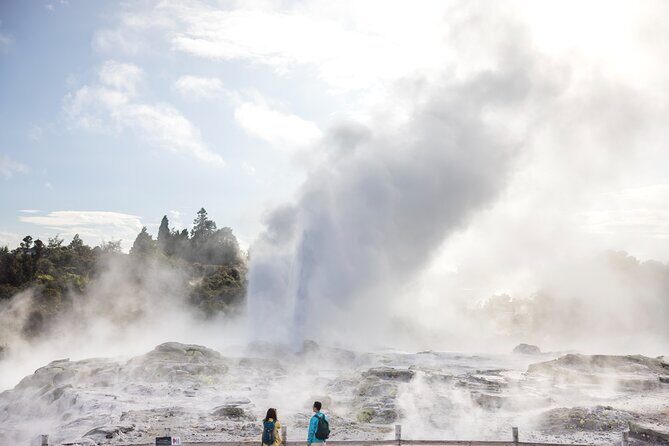 Tauranga Private Excursion: Rotorua -Te Puia-Geysers & Kiwi's - Key Points