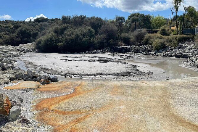 Tauranga Shore Excursion Hells Gate - A Closer Look at the Itinerary