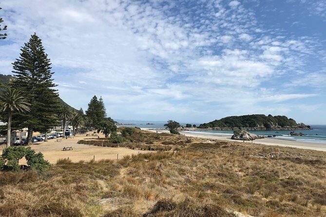 Tauranga Shore Excursion: History & Kiwifruit Tasting  4 Hours - Final Thoughts: Who Should Take This Tour?