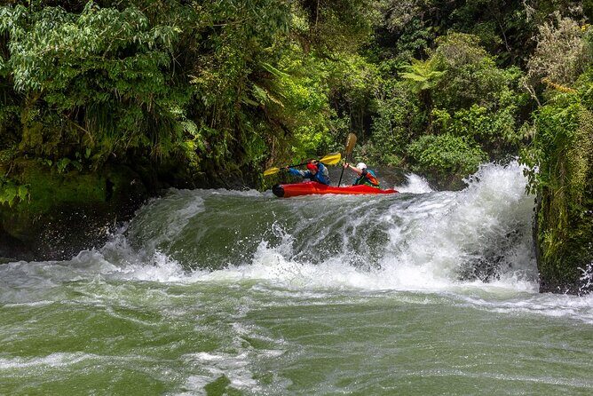 Tauranga Shore Excursion: Rotorua Highlights - Tauranga Shore Excursion: Rotorua Highlights Review