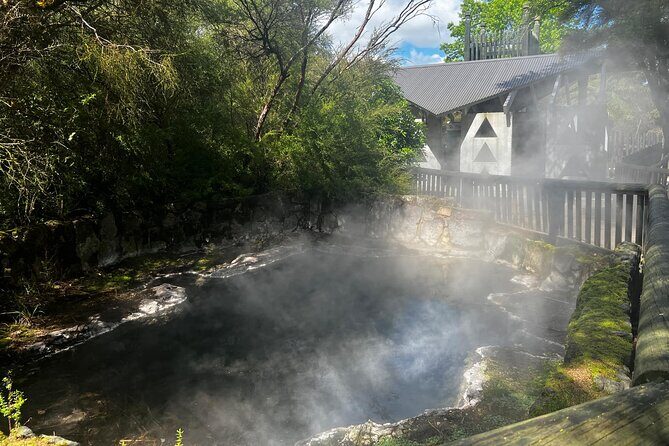 Tauranga Shore Excursion: Rotorua Highlights Tour - What this Rotorua Highlights Tour Offers