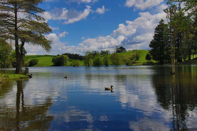 Tauranga Shore Excursion: Small-Group Bay of Plenty and Tauranga Tour - Key Points
