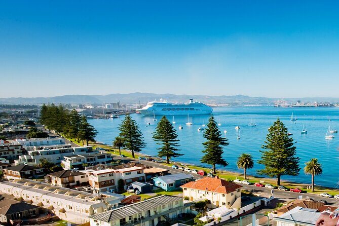 Tauranga Shore Excursion: Small-Group Bay of Plenty and Tauranga Tour - The Itinerary Breakdown: What to Expect