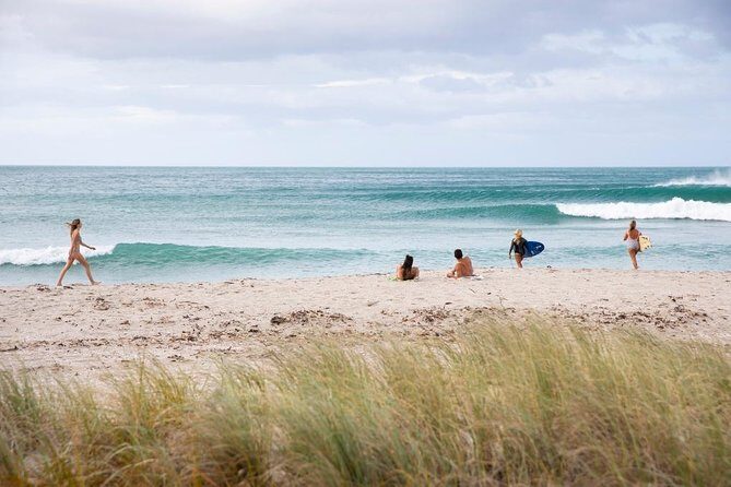 Tauranga Shore Excursion: Small-Group Bay of Plenty and Tauranga Tour - Detailed Look at Each Stop