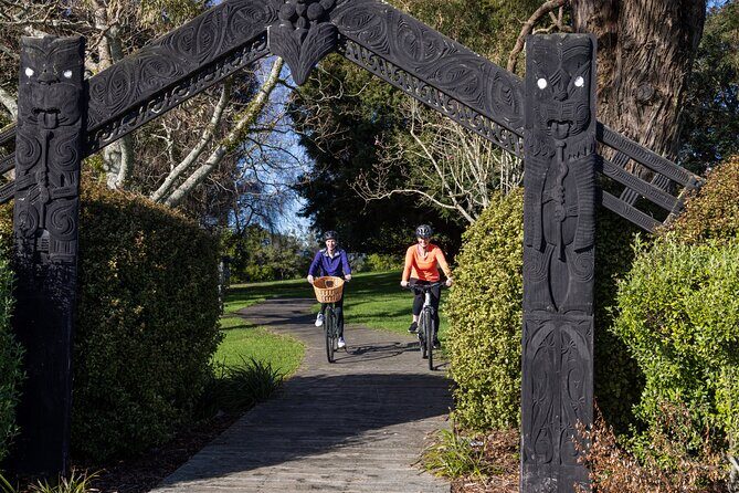 Tauranga Shore Excursion: Small-Group Bay of Plenty and Tauranga Tour - Who Will Love This Tour?