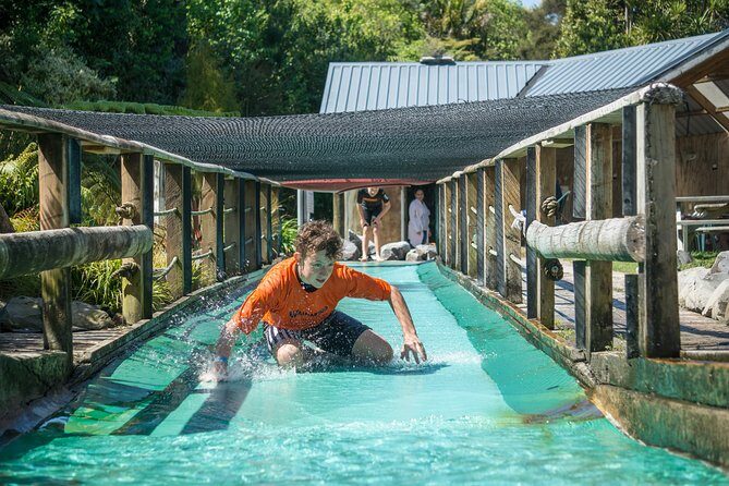 Tauranga: Waimarino Adventure Park - What’s Included with the Supreme Pass?