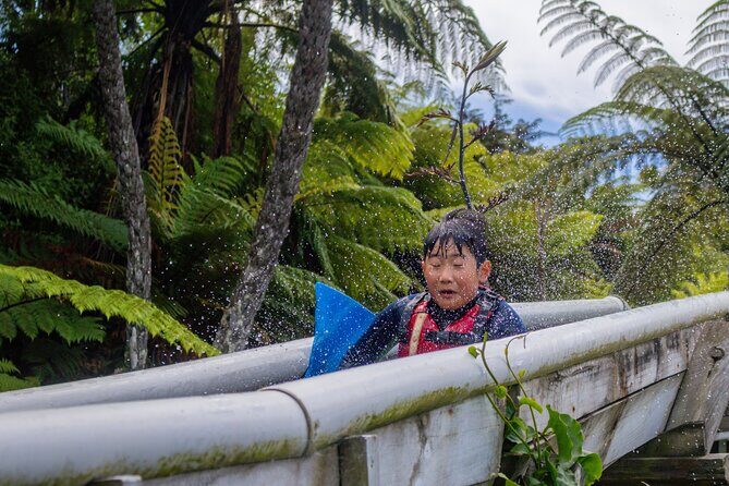 Tauranga: Waimarino Adventure Park - Authentic Experiences and Tips from Visitors