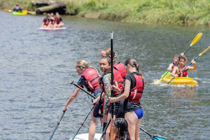 Tauranga: Waimarino Adventure Park - Who Should Visit Waimarino Adventure Park?