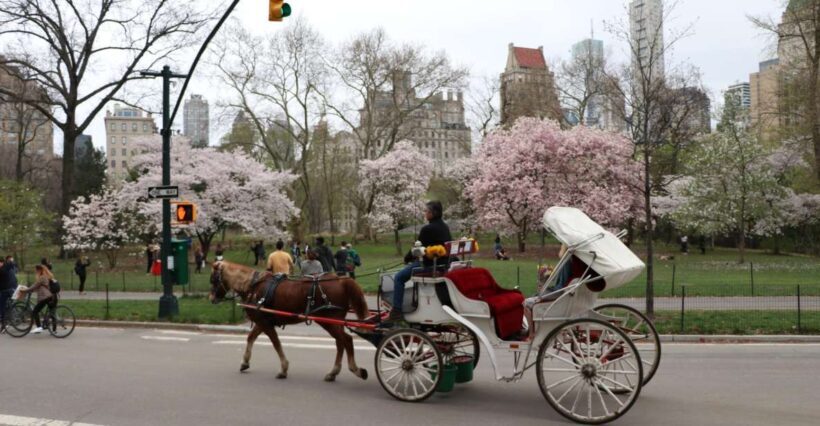 Tavern on the Green PickUp&DropOff With Horse Carriage Ride - How This Tour Fits Into Your NYC Visit