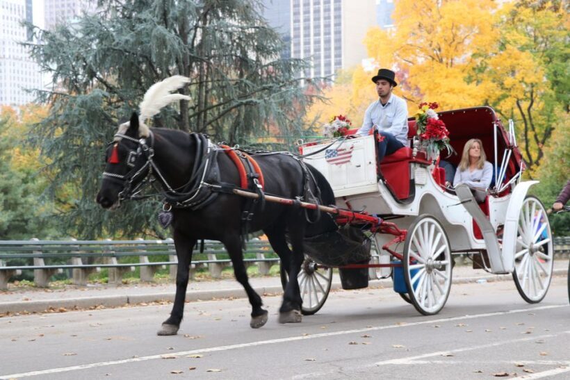 Tavern on the Green PickUp&DropOff With Horse Carriage Ride - Final Thoughts: Who Will Love This?