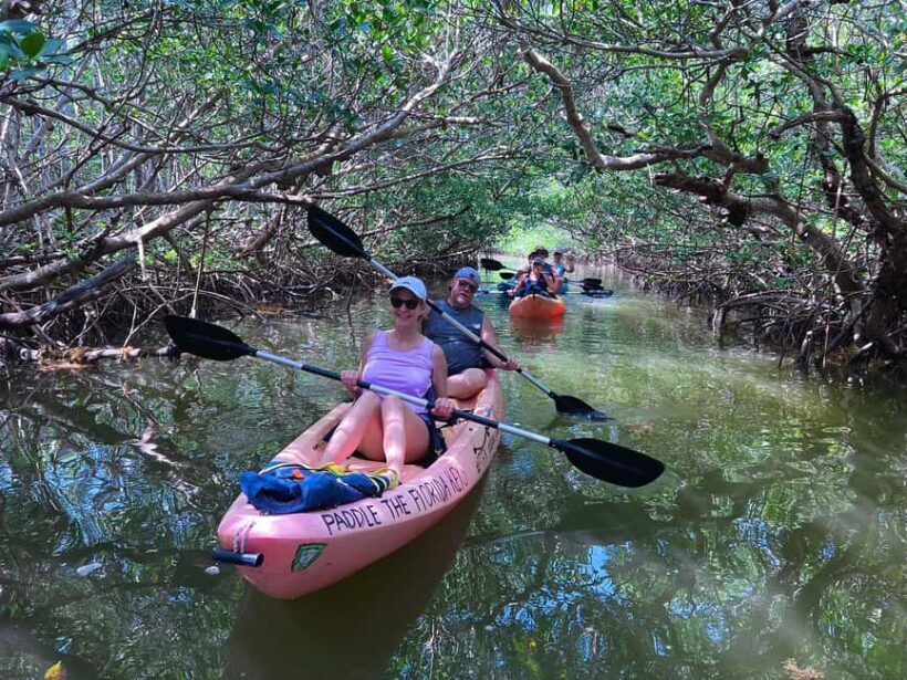 Tavernier, FL: Mangrove and Manatees Guided Kayak Eco Tour - The Experience: A Closer Look at the Tour