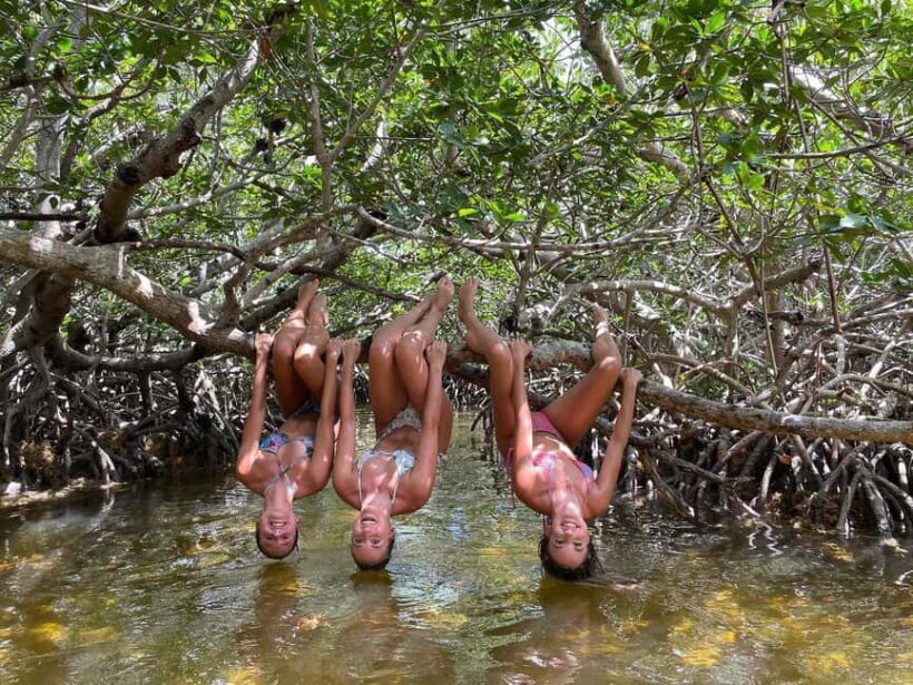 Tavernier, FL: Mangrove and Manatees Guided Kayak Eco Tour - Analyzing the Value of the Tour