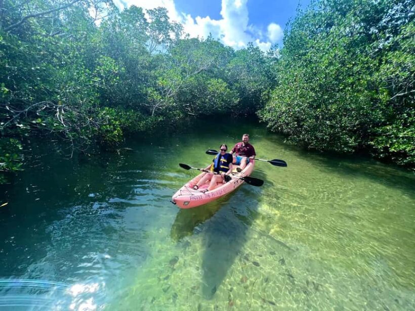 Tavernier, FL: Mangrove and Manatees Guided Kayak Eco Tour - The Sum Up: Who Is This Tour Best For?