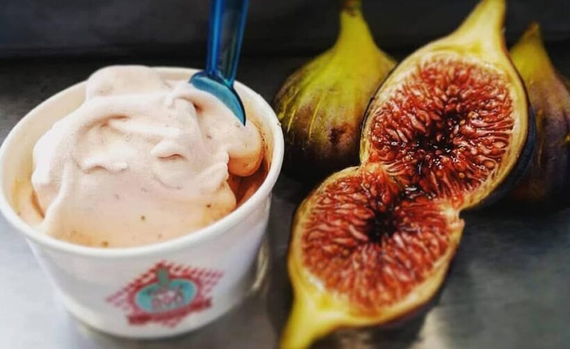 Tavira City & Ice Cream - FAQ