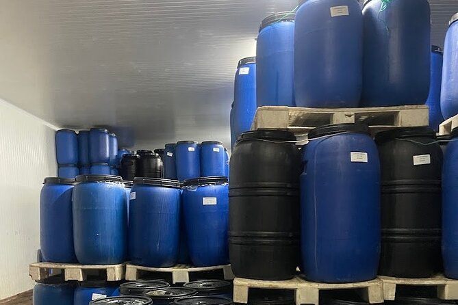 Tavira Olive Experience Factory Tour and Tasting - Discovering Olive Oil Production