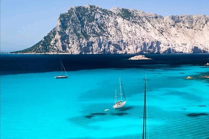 Tavolara Marine Protected Area Tour (GROUP) - Exploring the Itinerary in Detail