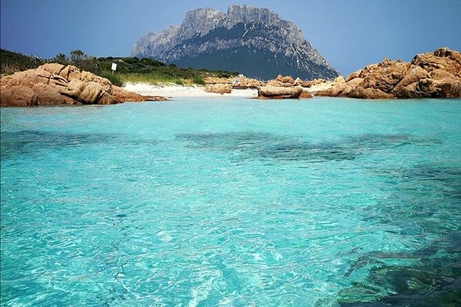 Tavolara Marine Protected Area Tour (GROUP) - What’s Included and What to Bring