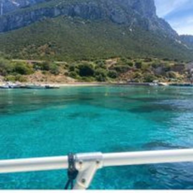 Tavolara, Snorkeling in the Marine Park - Who Would Enjoy This Tour?