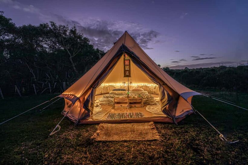 Tawharanui: Kiwi Spotting & Stargazing Tour w/ Optional Stay - Key Points