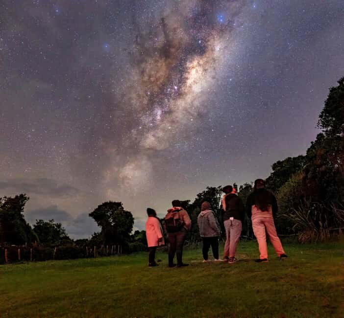 Tawharanui: Kiwi Spotting & Stargazing Tour w/ Optional Stay - Who Should Consider This Tour?