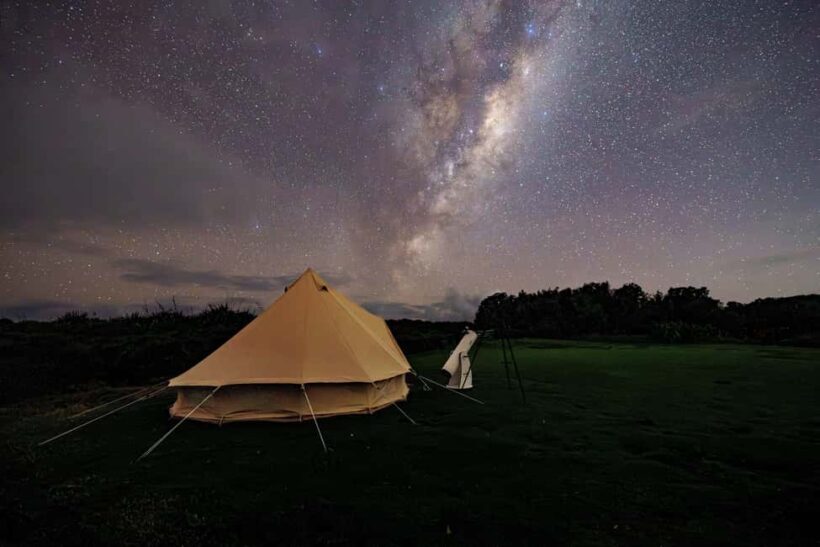 Tawharanui: Kiwi Spotting & Stargazing Tour w/ Optional Stay - Frequently Asked Questions