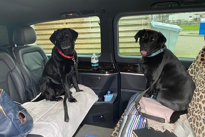 Taxi, Airport Transfer and Limousine Service in Switzerland - Pricing and Value