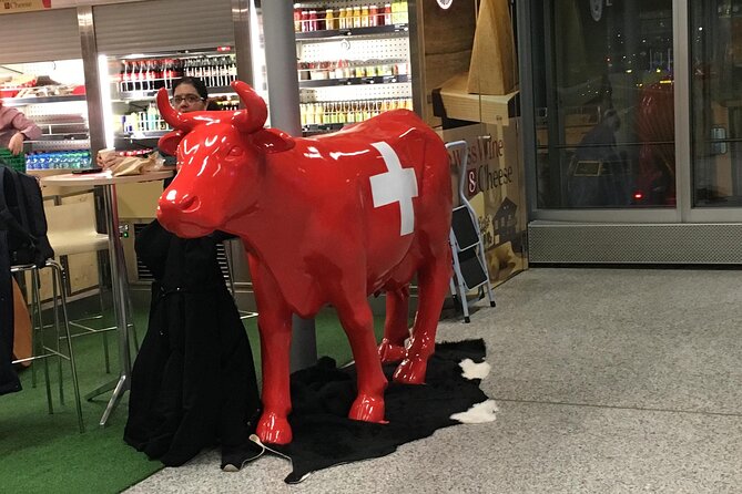 Taxi, Airport Transfer and Limousine Service in Switzerland - Who Should Consider This Service?