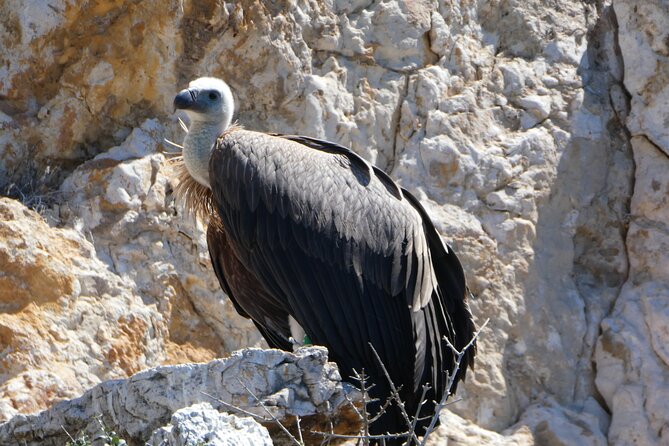 Taxi boat Kormat - Frequently Asked Questions