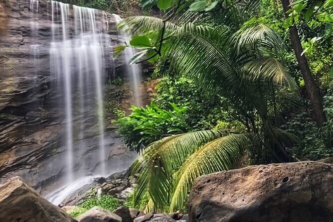 Taxi & Tours in Grenada , Chocolate factory, & more. - Why This Tour Works