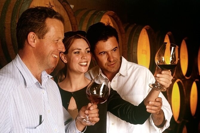 Taylor-Made Transfers Review: Comfort and Convenience - Customer Ratings and Feedback