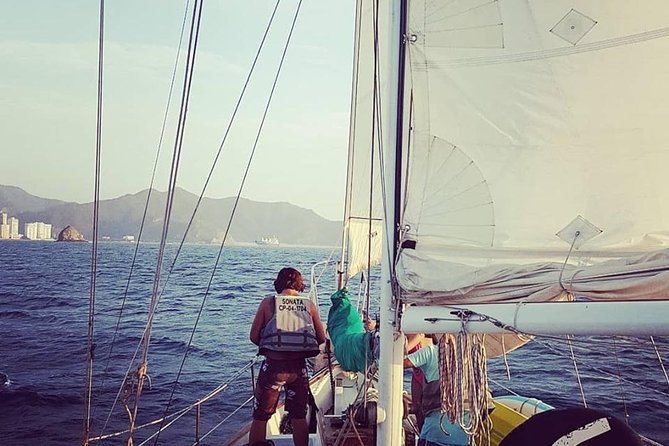 Tayrona Bay Sailboat Trip - Customer Feedback and Reviews