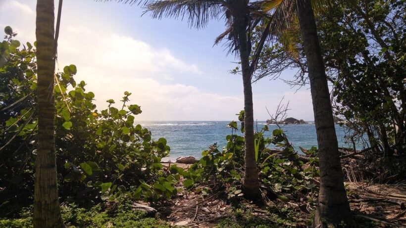 Tayrona Park: Group Tour To Cabo San Juan - Key Points