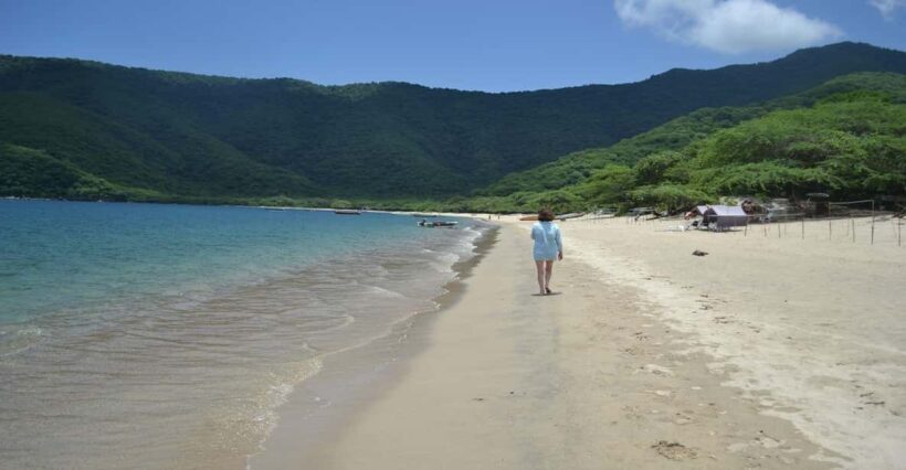 Tayrona Park: Group Tour To Concha Bay - Exploring the Tayrona Park: Group Tour To Concha Bay – A Practical, Authentic Adventure
