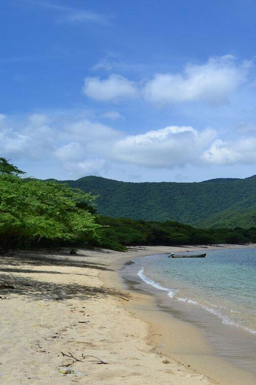 Tayrona Park: Group Tour To Concha Bay - Key Points