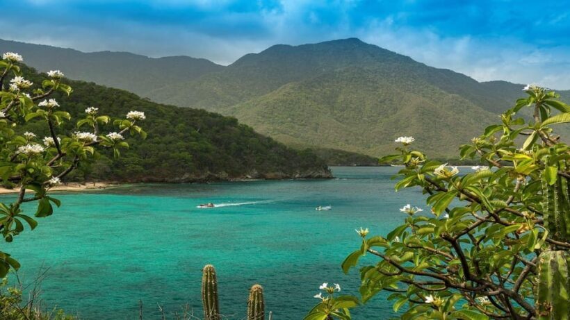Tayrona Park: Group Tour To Concha Bay - Authenticity and Traveler Feedback